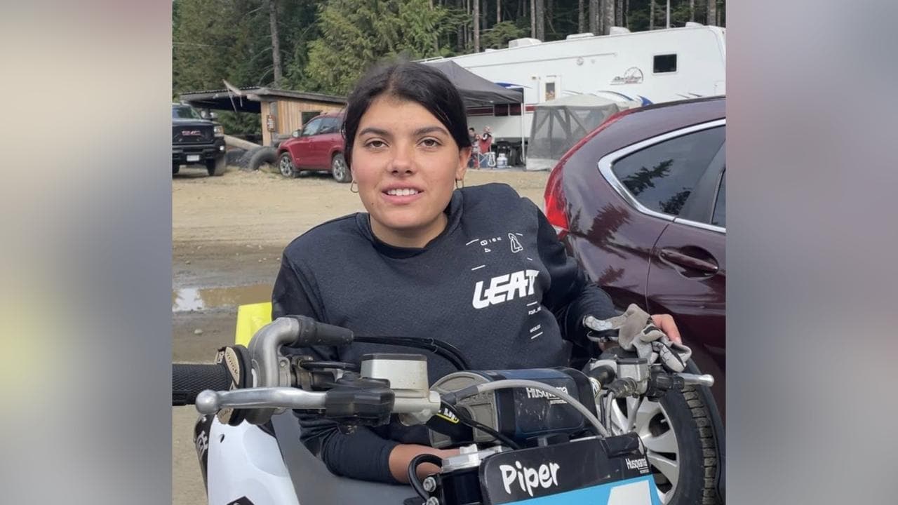 Wild dingoes to be euthanised after teen's island death