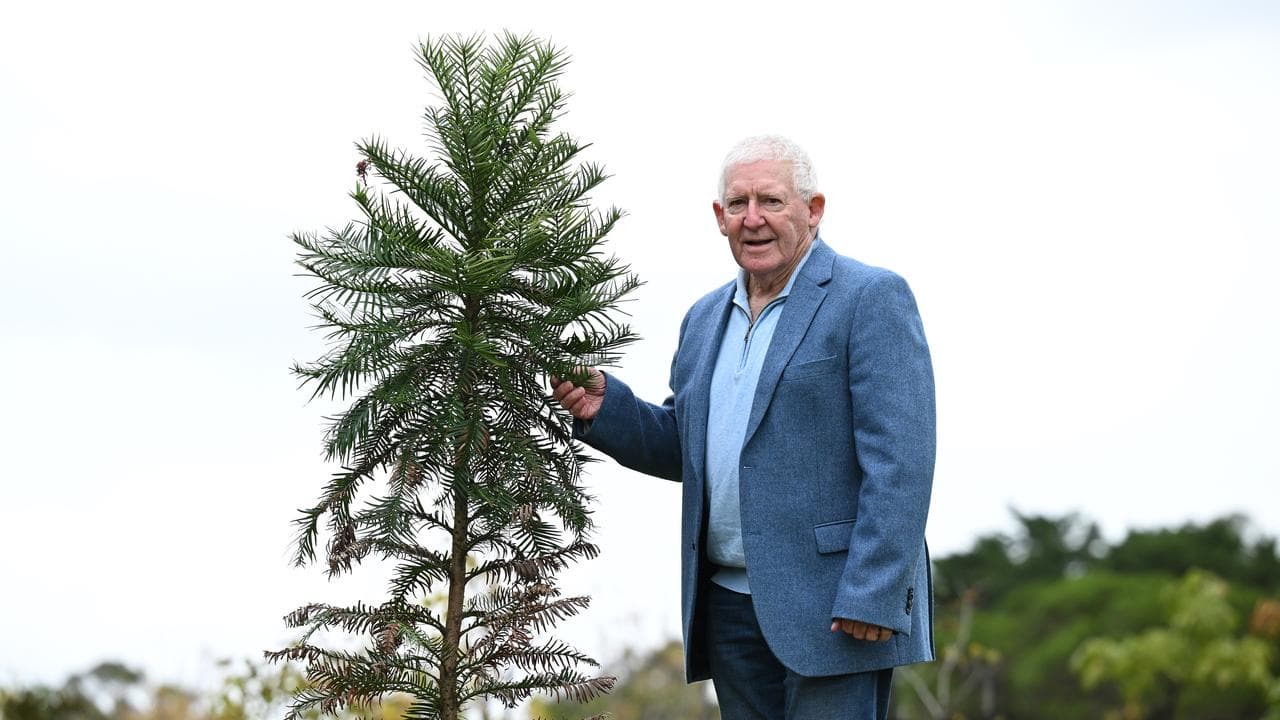 As cemeteries fill, Australians choose forests