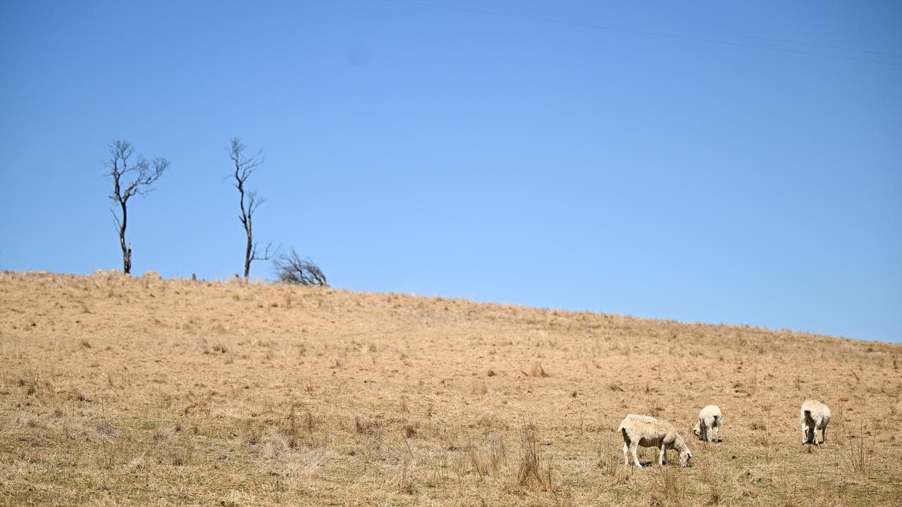 Watchdog flooded with complaints as dry spell persists