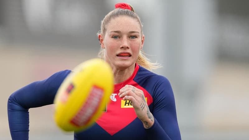 Harris lays out the big hits as Demons down Bombers