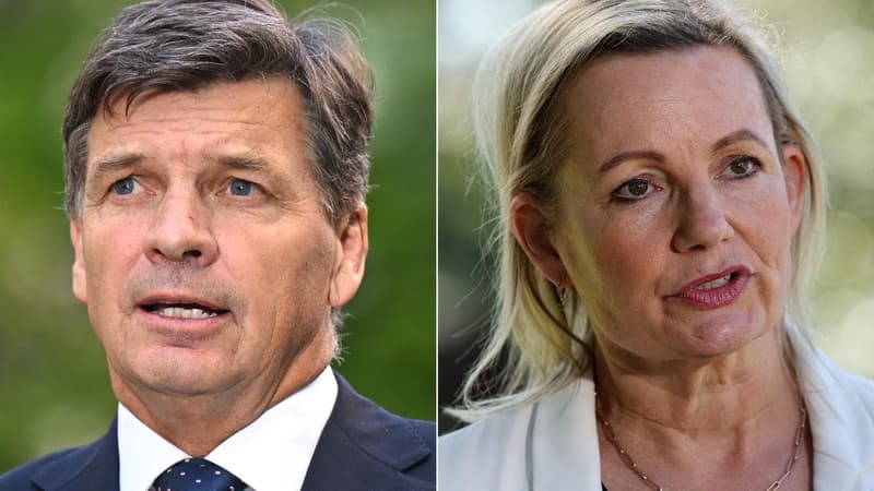 Top Liberal's backers talk down imminent leader threat