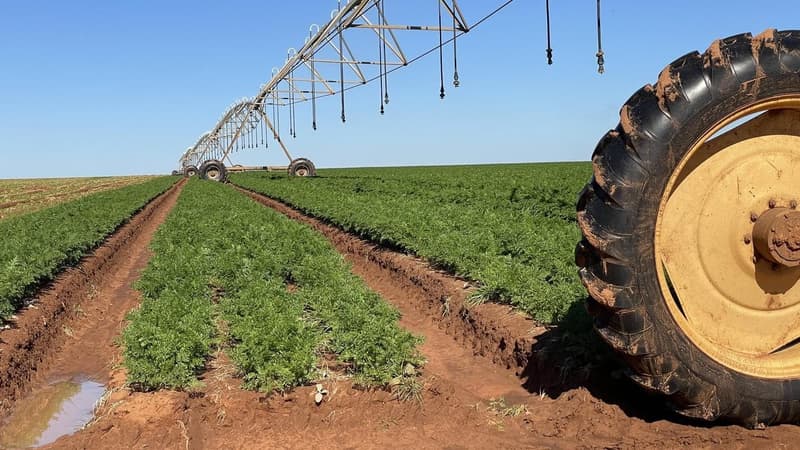 Global capital eyes $50b water market, raising stakes