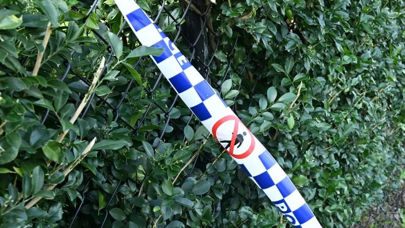 Man killed with metal pole during alleged crime spree