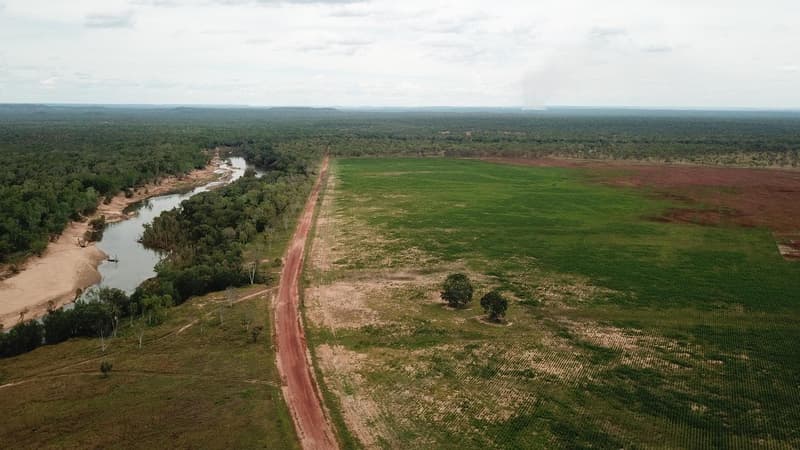 Legal action over plans to bulldoze tropical savanna