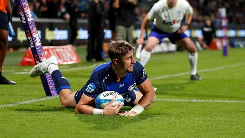 Lomax to become bulletproof as Force aim for greatness