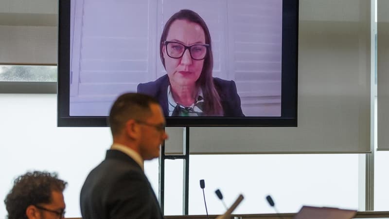 'Big red flags and worse', union inquiry told